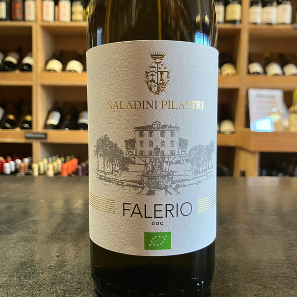 Falerio Saladini Pilastri 2024 - Butler's Wine Cellar